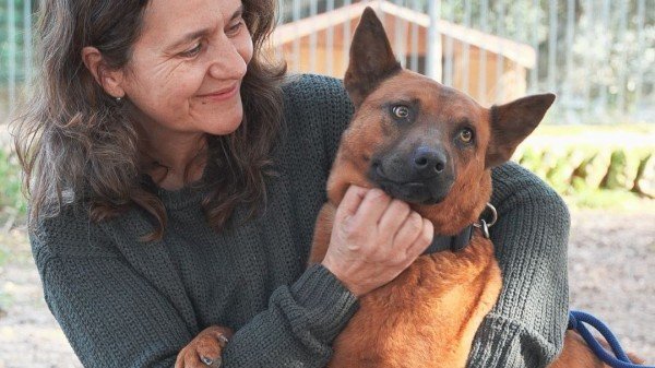 Amella - Verhuisdieren.nl